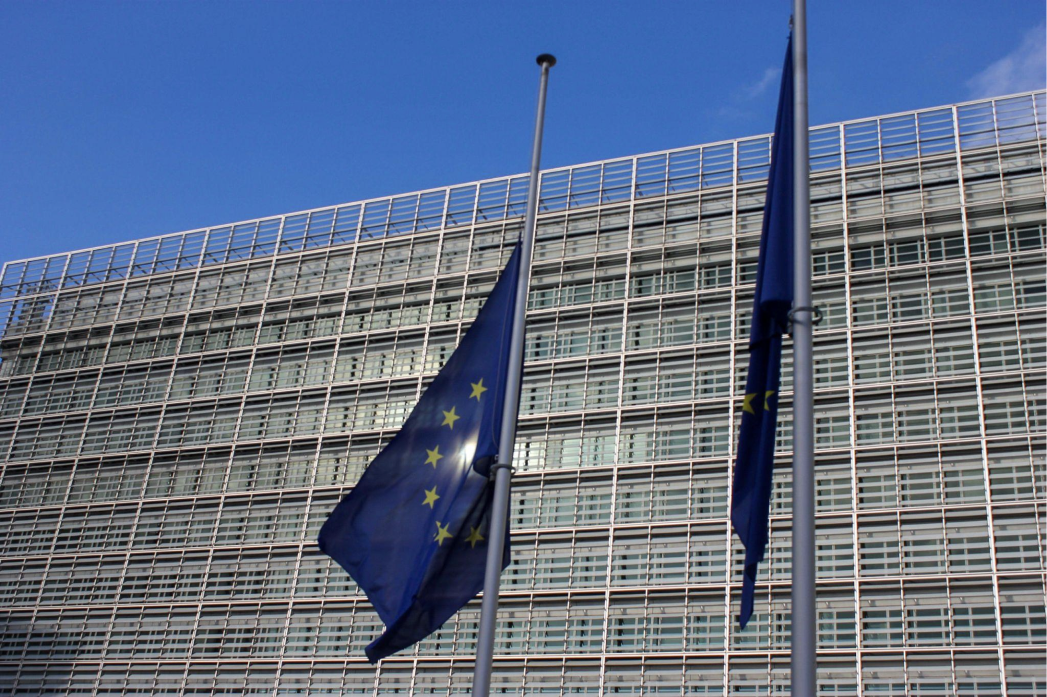 Patriots for Europe: A Radical-Right Shift in the EU’s Political ...